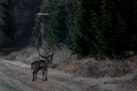 Alt Vs Jung Forum Für Naturfotografen