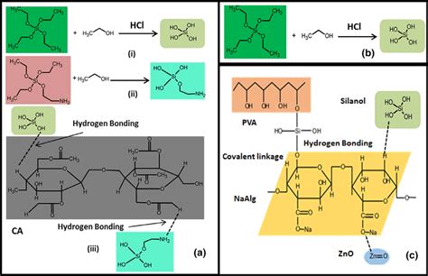 A Surface Modification Of CA Substrate B TEOS Conversion Into