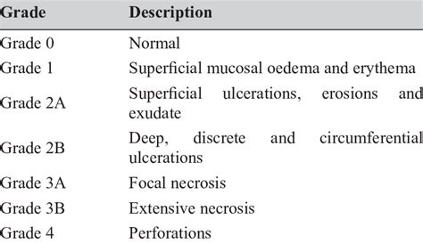 Endoscopic Classification Of Corrosive Injuries Zargar Et Al 12 Download Table
