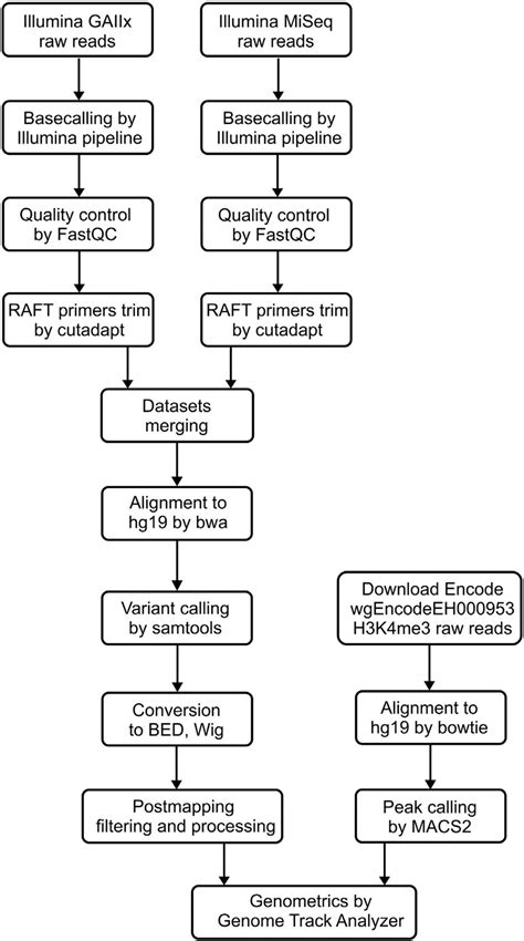 Bioinformatics Pipelines Download Scientific Diagram