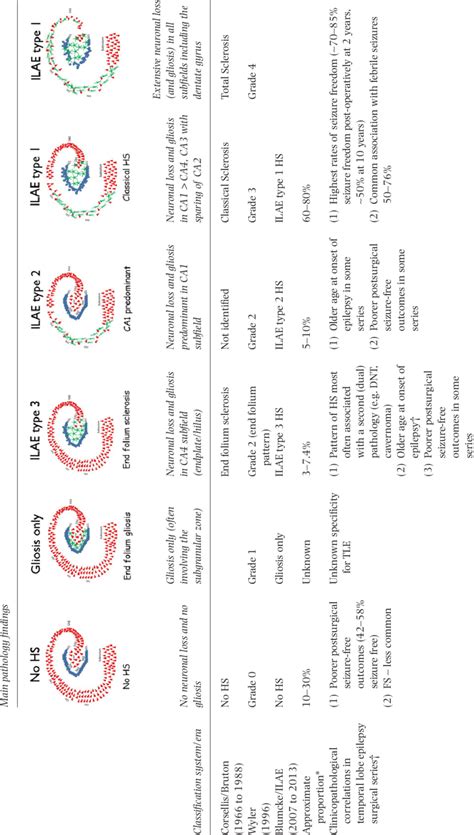 summary of the various classification schemes adopted for the patterns