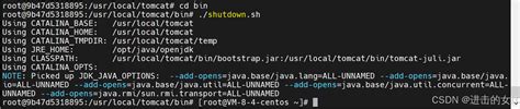 docker配置阿里云镜像加速器，拉取tomcat，使用云服务器访问tomcat容器 docker 配置阿里云加速 csdn博客