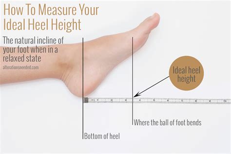 How To Find Your Height Without Measuring Brluda