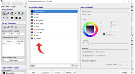 Using Itk Snap For Segmentation Wei S Menu For Neuroimage Documentation