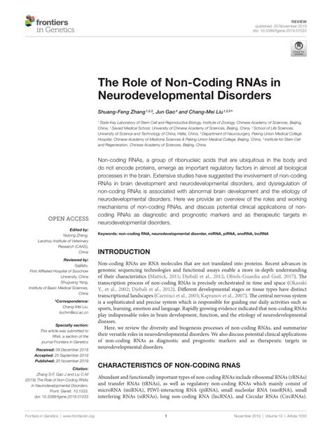 Pdf The Role Of Non Coding Rnas In Neurodevelopmental Disorders