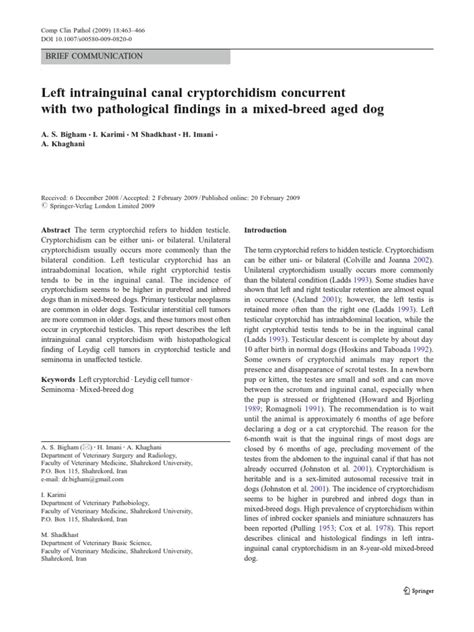 Criptorquidia En Perros Pdf Testicle Androgen