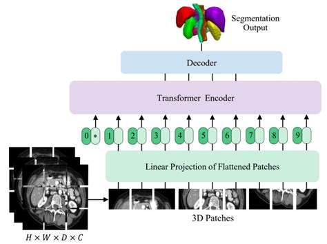 Transformers Are Being Used Everywhere But Did You Know That You Can