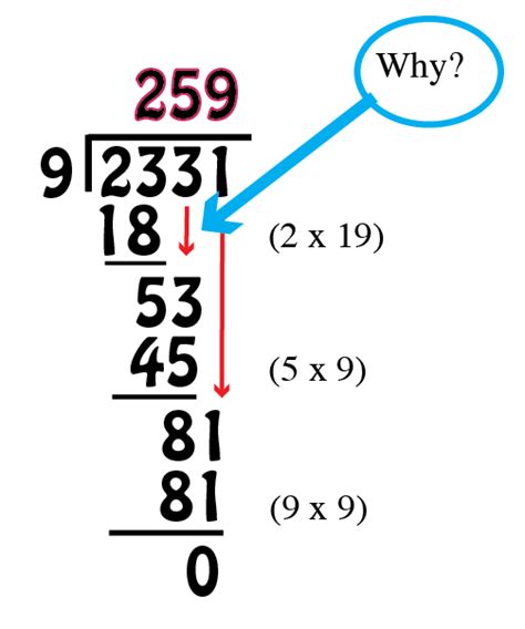 Division And Area Models Educational Aspirations
