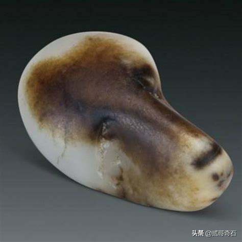 男子1200萬買到兩塊和田玉一年後價格翻幾番專家說出關鍵3點 每日頭條