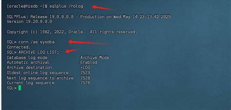 Oracle查看归档是否打开oracle查看是否开启归档 Csdn博客