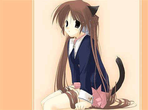 Anime Girl With Cat Ears And Wolf Tail