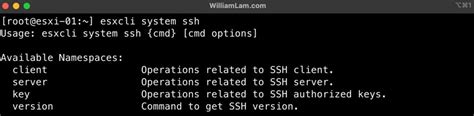 Roger Lund On Linkedin Quick Tip Ssh Server Client And Authorized Key Configurations For Esxi