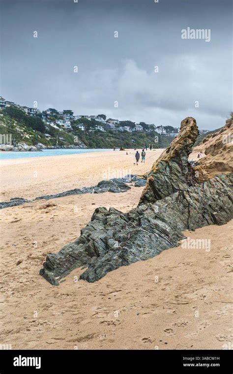 Rocks Exposed By Erosion Of The Sand Dune System At Crantock Beach In Newquay In Cornwall In The