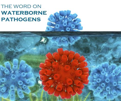 A Paradigm Shift Ashrae 188 And Domestic Water Waterborne Pathogens