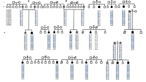 Haplotype Analysis Of 12 Single Nucleotide Polymorphism Snp Markers