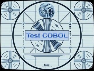 Mad Computer Science Testing COBOL With RSpec PPT