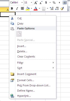 Excel In Your Office The Mini Toolbar