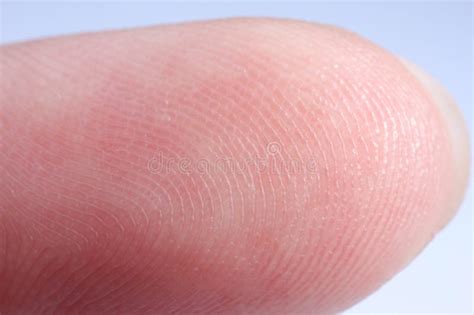 Finger With Friction Ridges On Light Blue Background Macro View Stock