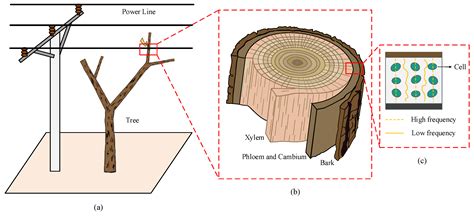 Tree Related High Impedance Fault In Distribution Systems Modeling Detection And Ignition
