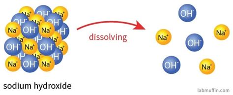 Sodium Hydroxide Model