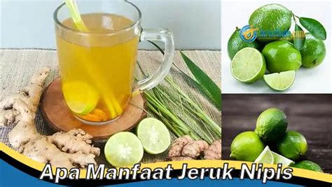 Temukan Manfaat Jeruk Nipis Yang Jarang Diketahui