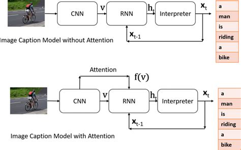 Attention And No Attention Models Download Scientific Diagram