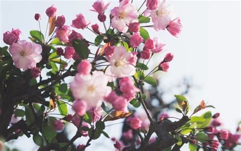 Testing Asynchronous Operations In Spring With Junit 5 And Byteman