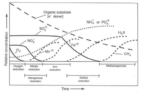 Diagram Showing Decrease Of Organic Substrate By Oxidation And Release