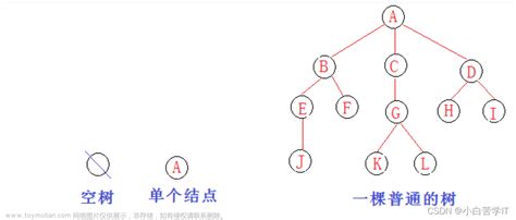 C语言数据结构——树形结构之树和二叉树 Toy模板网