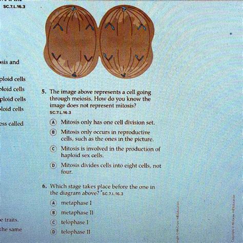 Solved I Need Answers For 5 And 6 Please Sc 7l16 3 Sis And Ploid