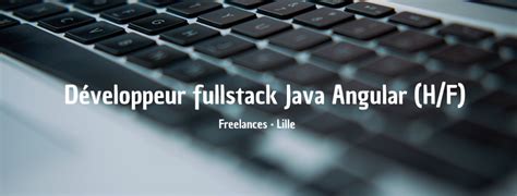 développeur fullstack java angular h f insitoo lille mission