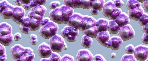 Banner Header Bacteria Cells Biology Free Image From