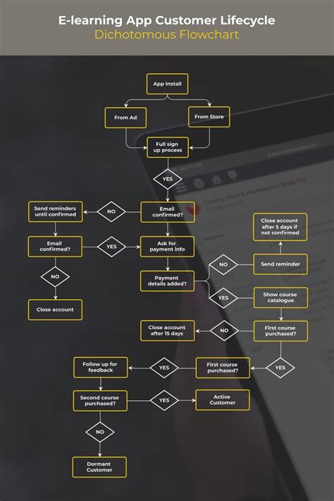 What Is A Dichotomous Key How To Create One