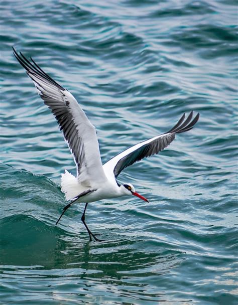 Extra Realistic SD Beta T Stable Diffusion Model Checkpoint Tensor Art