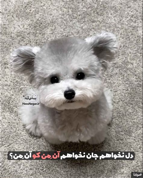 عکس نوشته غمگین حس نگار