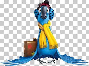 Blu Rio Film Png Clipart Beak Bird Blu Cartoon Cartoons Free Png Download
