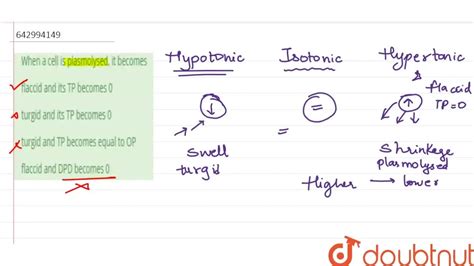 When A Cell Is Plasmolysed It Becomes