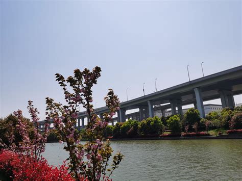 繁华散尽 牧人池塘 Dba杂谈录