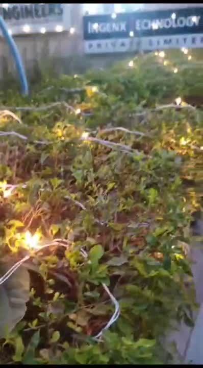 Video Mohd Dilshad On Linkedin Happy Diwali To All I Am Blessed To