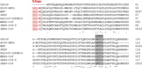 The Multiple Sequence Alignment Of Nsp9 Sequences Using The Clustal