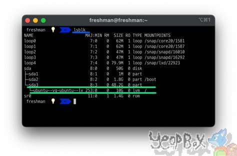 우분투ubuntu 2204 Server 루트 파티션 용량 확장 방법 Yeopbox