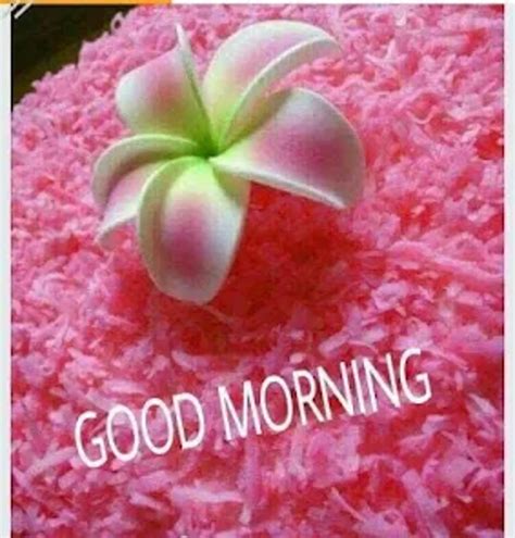 Good Morning Good Night 2023 для Android — Скачать