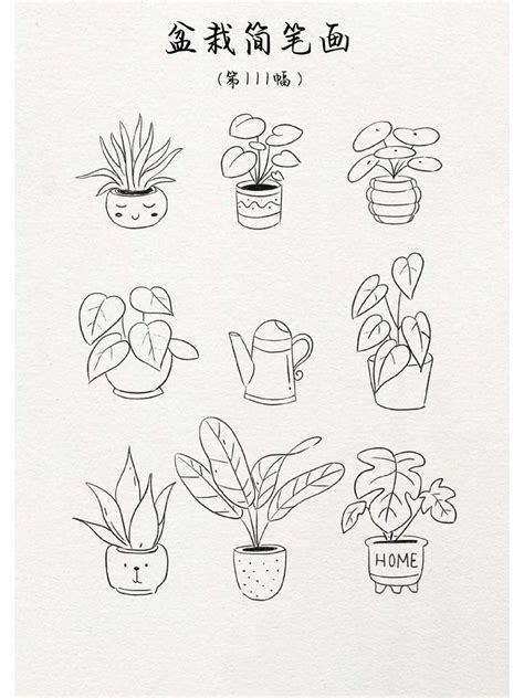 一盆花怎么画简笔画又漂亮又好看（11张） 简笔画图片大全