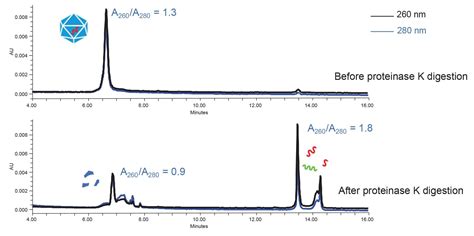 Cursory Analysis Of Nucleic Acid Components In Adeno Associated Virus Aav Samples Using Anion