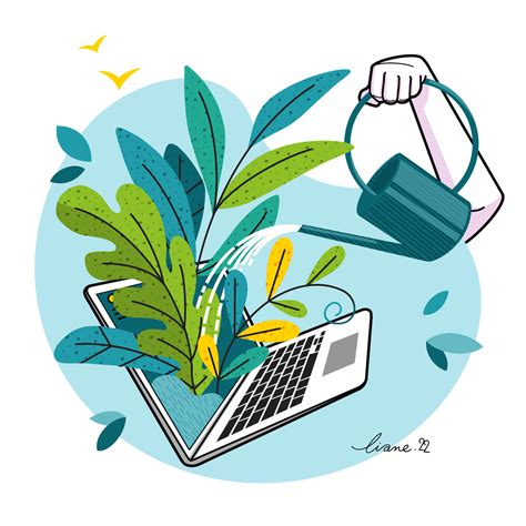 Web Citronnade Création et gestion de site internet en Bretagne Sud