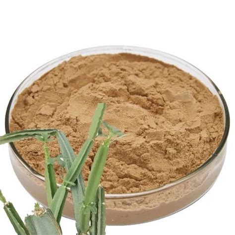 Cissus Quadrangularis Extract Powder Packaging Size 1 25 Kg At ₹ 800