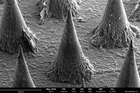 Scanning Electron Microscopy For Microneedle Patch Testing Behind The Bench