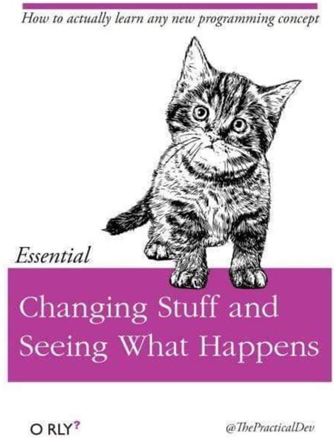 2 Programming Basics Level 1 Data Skills