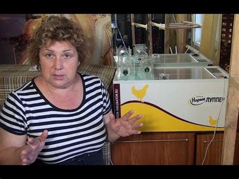 Вопрос: Инкубатор для яиц Блиц-Норма и Норма Луппер есть ли разница и ...