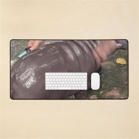 Moo Deng The Greatest Bite Force Sticker For Sale By Spiderdudejung